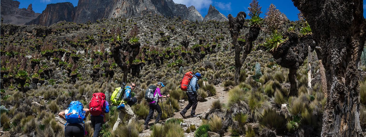 Mount Kenya Naro Moru Route – Bantu Horizons